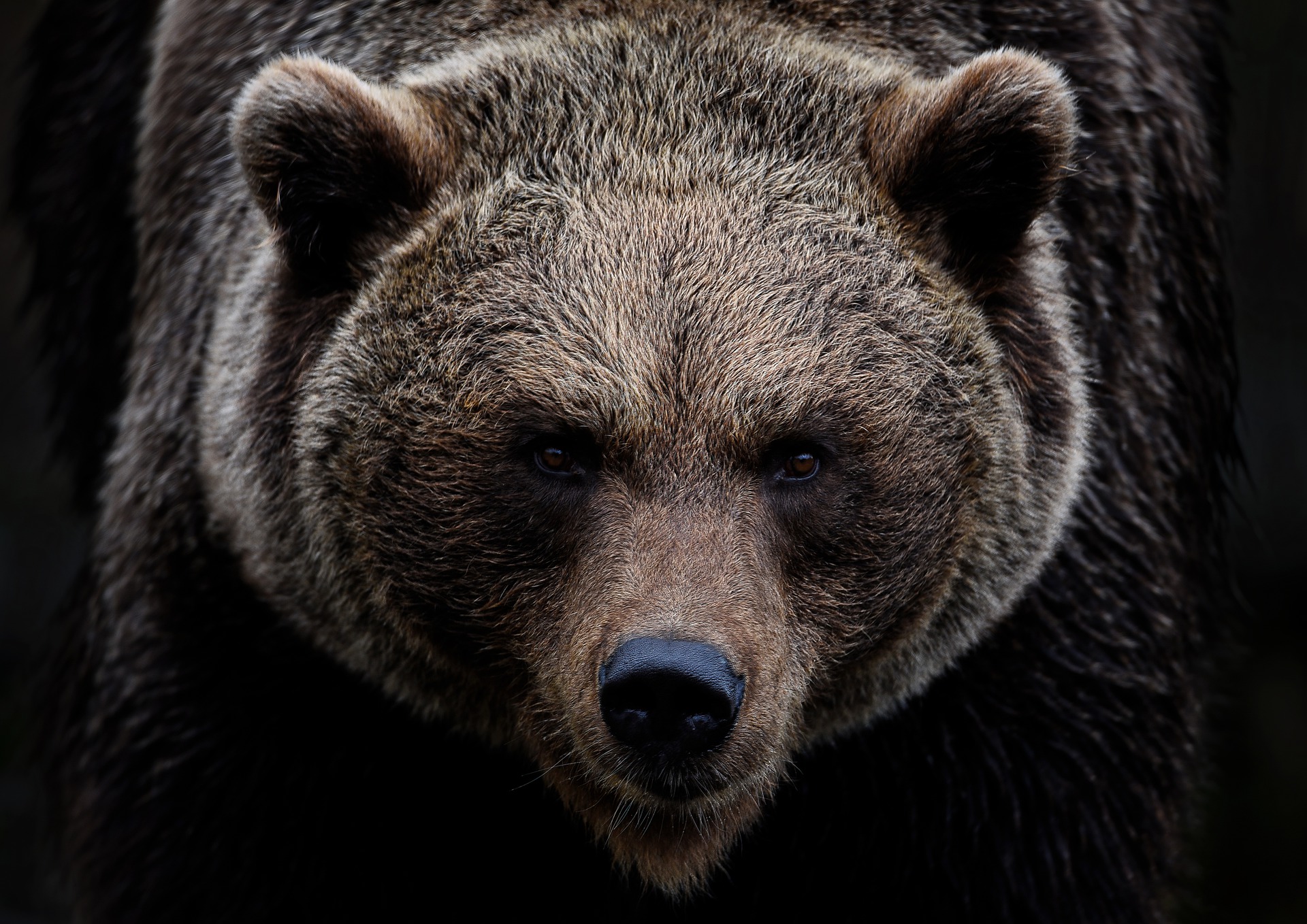 Dissecting factor returns in bull and bear markets - Outcast Beta